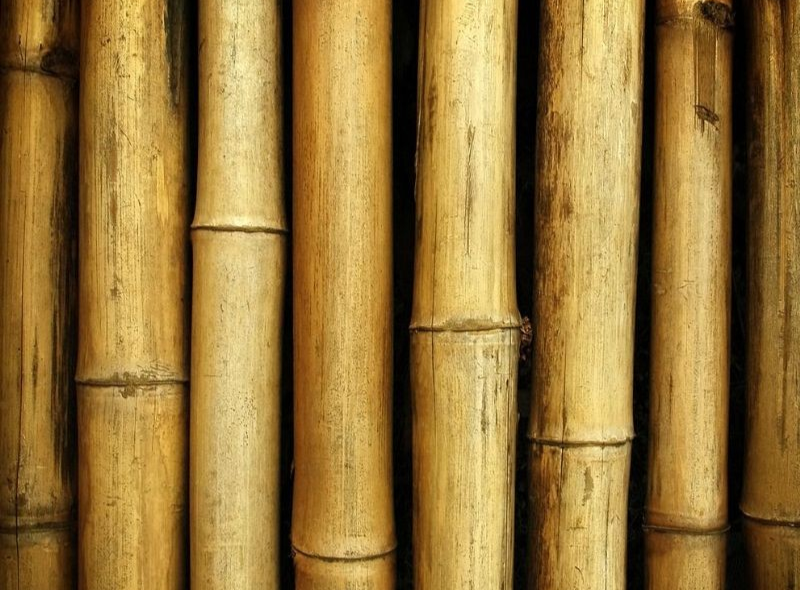 Bamboo Veneer, Which is More Environmentally Friendly Than Wood veneer ...