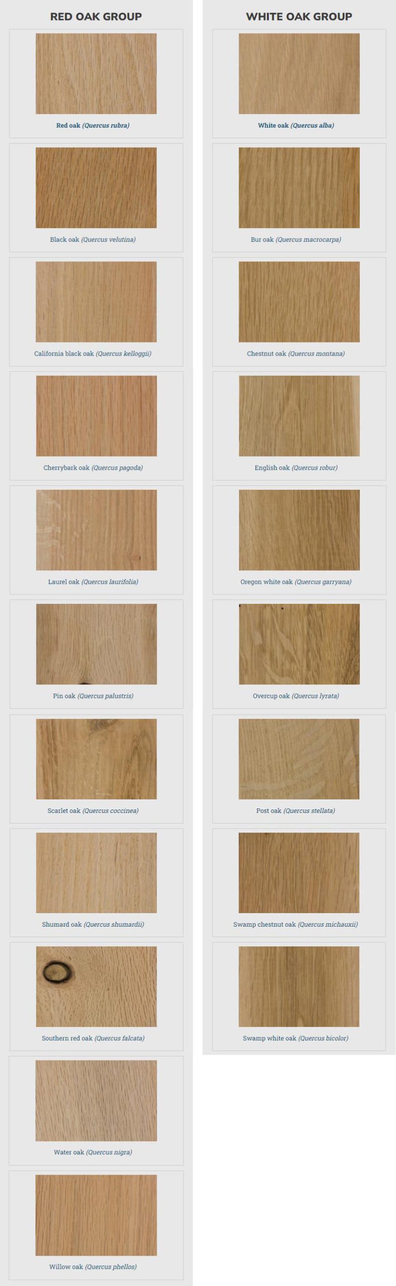Dyed Veneer White Oak Wood Veneer Supplier-Veneer Hub